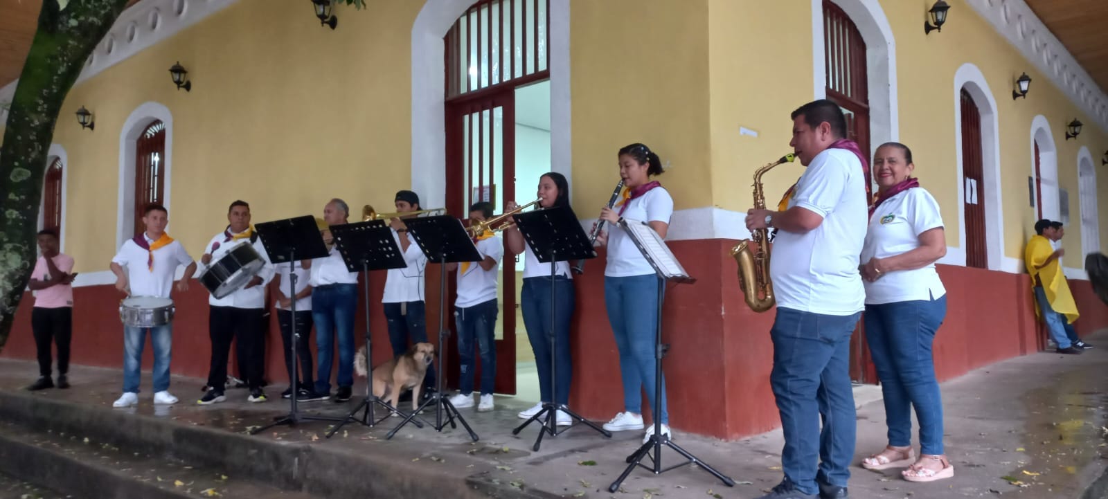 ¡Feliz Día Mi Tolima! - Alcaldía Municipal Carmen De Apicala
